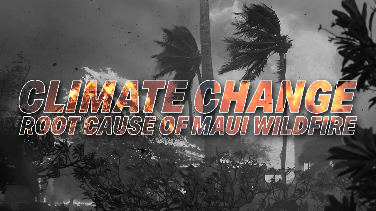 POLITICIANS POINT FINGER AT CLIMATE CHANGE AS ROOT CAUSE OF MAUI ...